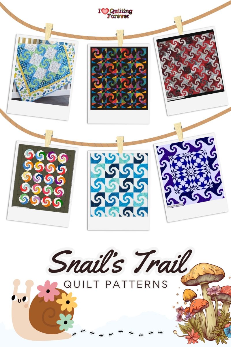 Top 9 Free Snail's Trail Quilt Patterns (+8 Bonus Patterns For Sale ...