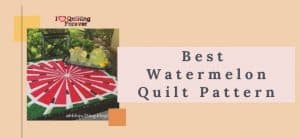 5 Best Watermelon Quilt Pattern - I Love Quilting Forever