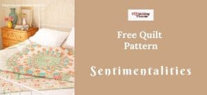 13 Most Creative Panel Quilt Patterns - I Love Quilting Forever