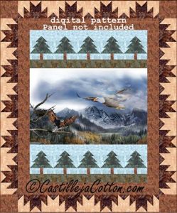 Top 20 Free Panel Quilt Patterns (+8 Bonus Patterns For Sale) - I Love ...