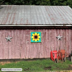 Top Free Sunflower Barn Quilt Patterns (+6 Bonus Patterns For Sale) - I ...
