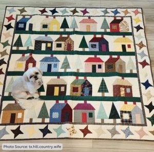 Top 12 Free House Quilt Patterns (+8 Bonus Patterns For Sale) - I Love ...