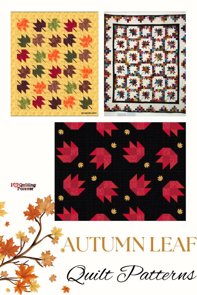 Top 12 Free Autumn Leaf Quilt Patterns (+8 Bonus Patterns For Sale) - I Love Quilting Forever
