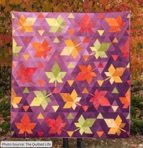Top 10 Free Fall Quilt Patterns (+8 Bonus Patterns For Sale) - I Love ...
