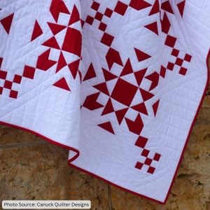 Top 7 Free Two Color Quilt Patterns (+8 Bonus Patterns For Sale) - I ...