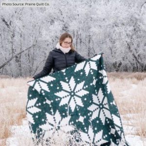 Top 7 Free Two Color Quilt Patterns (+8 Bonus Patterns For Sale) - I ...