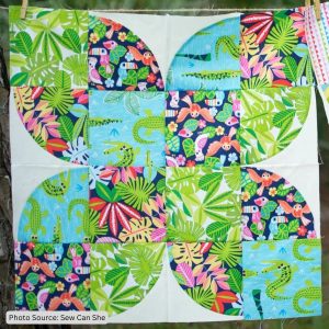 Top 12 Free Drunkard’s Path Quilt Patterns (+8 Bonus Patterns For Sale ...