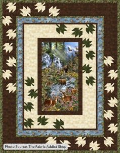 Top 10 Free Quilt Panel Border Ideas (+6 Bonus Patterns For Sale) - I ...
