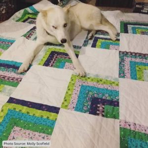 Top 8 Free Half Log Cabin Quilt Patterns (+9 Bonus Patterns For Sale ...