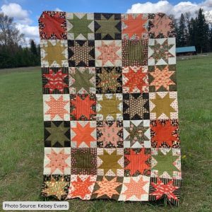 Top 10 Free Sawtooth Star Quilt Patterns (+10 Bonus Patterns For Sale ...