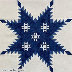 Top 9 Free Feathered Star Quilt Patterns (+8 Bonus Patterns For Sale ...