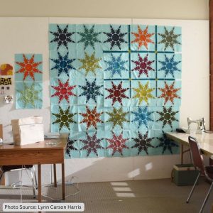 Top 9 Free Feathered Star Quilt Patterns (+8 Bonus Patterns For Sale ...
