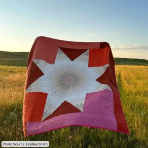 Top 10 Free Robert Kaufman Quilt Patterns - I Love Quilting Forever