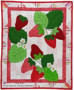 Top 6 Free Strawberry Quilt Patterns (+9 Bonus Patterns For Sale) - I ...