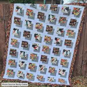 Top 6 Free Shadow Box Quilt Patterns (+5 Bonus Patterns For Sale) - I ...