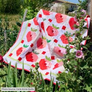 Top 6 Free Strawberry Quilt Patterns (+9 Bonus Patterns For Sale) - I ...