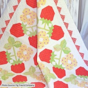 Top 6 Free Strawberry Quilt Patterns (+9 Bonus Patterns For Sale) - I ...