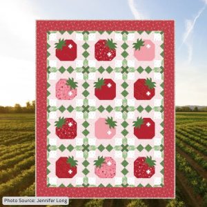 Top 6 Free Strawberry Quilt Patterns (+9 Bonus Patterns For Sale) - I ...