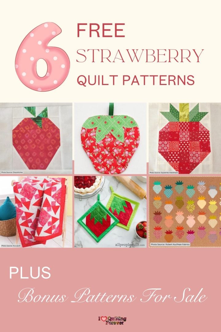 Top 6 Free Strawberry Quilt Patterns (+9 Bonus Patterns For Sale) - I ...