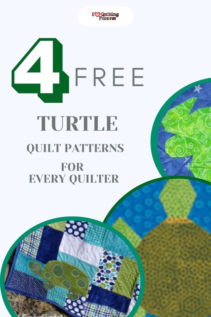 Top 4 Free Turtle Quilt Patterns (+10 Bonus Patterns For Sale) - I Love ...
