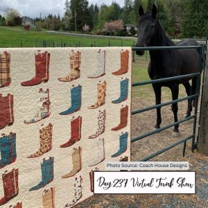 Top 5 Free Cowboy Boot Quilt Patterns (+7 Bonus Patterns For Sale) - I ...