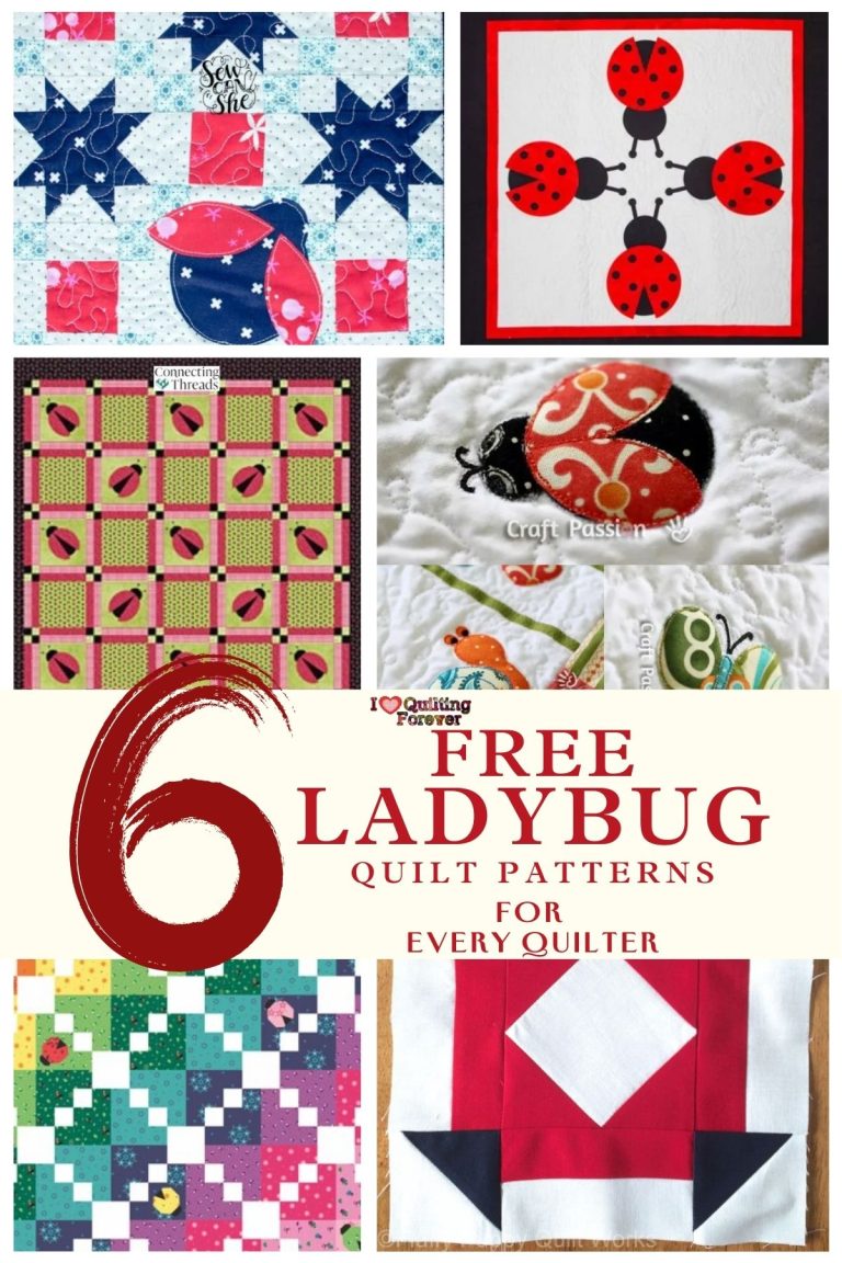 Top 6 Free Ladybug Quilt Patterns (+10 Bonus Patterns For Sale) - I ...