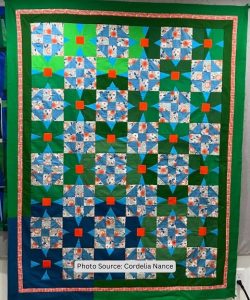 Top 5 Free Shoo Fly Quilt Patterns (+6 Bonus Patterns For Sale) - I ...