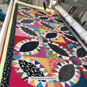 Top 7 Free Pickle Dish Quilt Patterns (+3 Bonus Patterns For Sale) - I ...