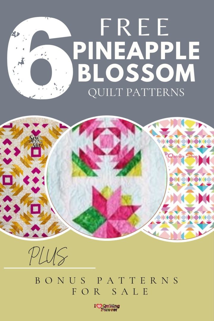 Top 6 Free Pineapple Blossom Quilt Patterns (+7 Bonus Patterns For Sale ...
