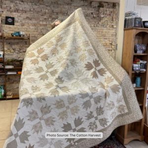 Top 7 Free Neutral Quilt Patterns (+10 Bonus Patterns For Sale) - I ...