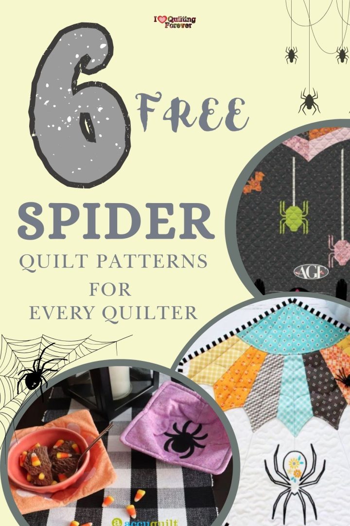 Top 6 Free Spider Quilt Patterns (+10 Bonus Patterns For Sale) - I Love ...