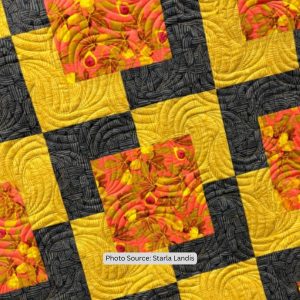 Top 4 Free Town Square Quilt Patterns (+4 Bonus Patterns For Sale) - I ...